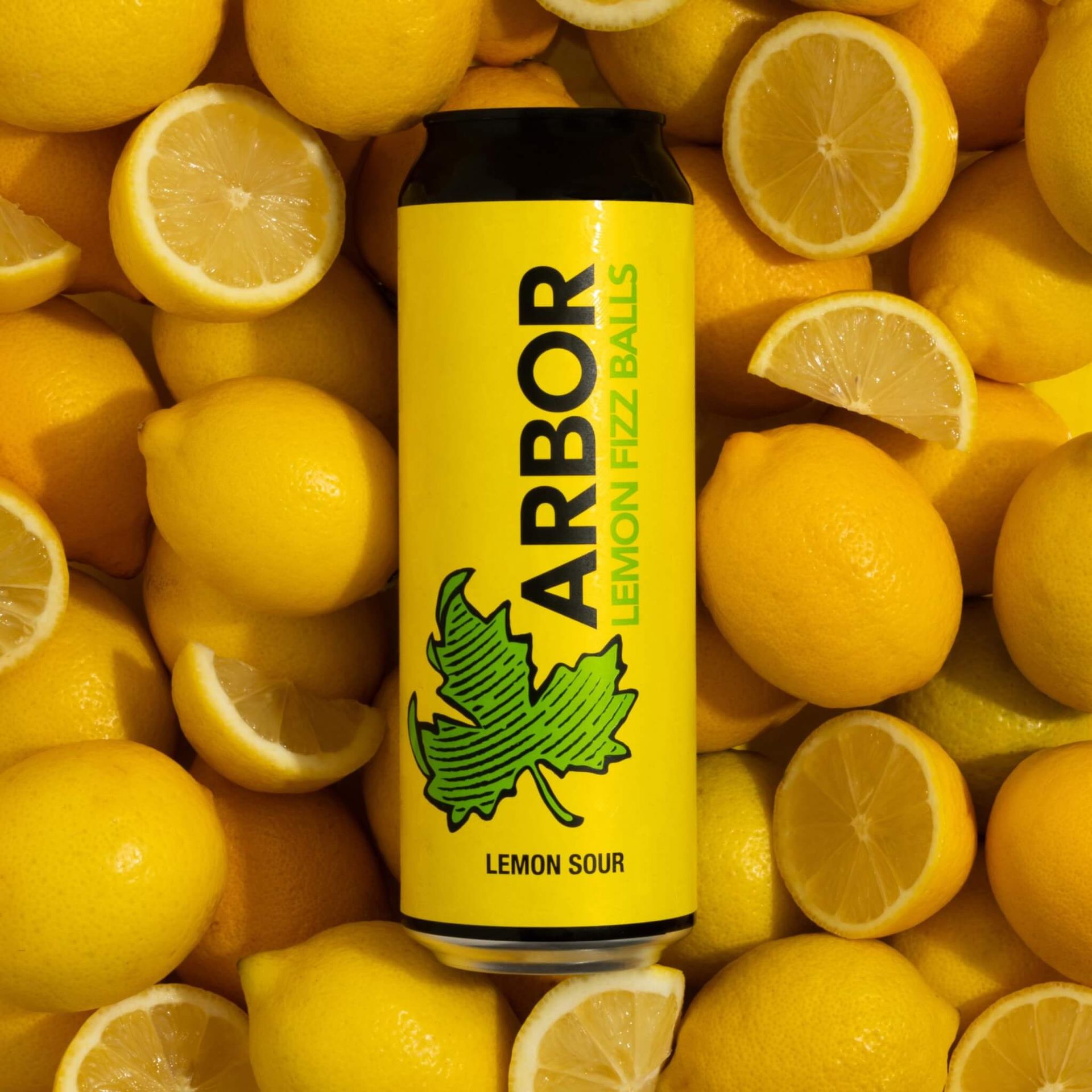 Arbor Ales - Fancy a Pint?